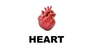 science grade 6-explain how the organs and organs system work | PPTX