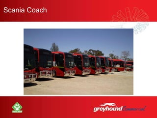 Greyhound Commercial Fleet | PPT