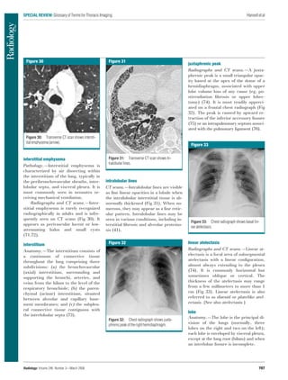 Fleischner Society glosary.pdf