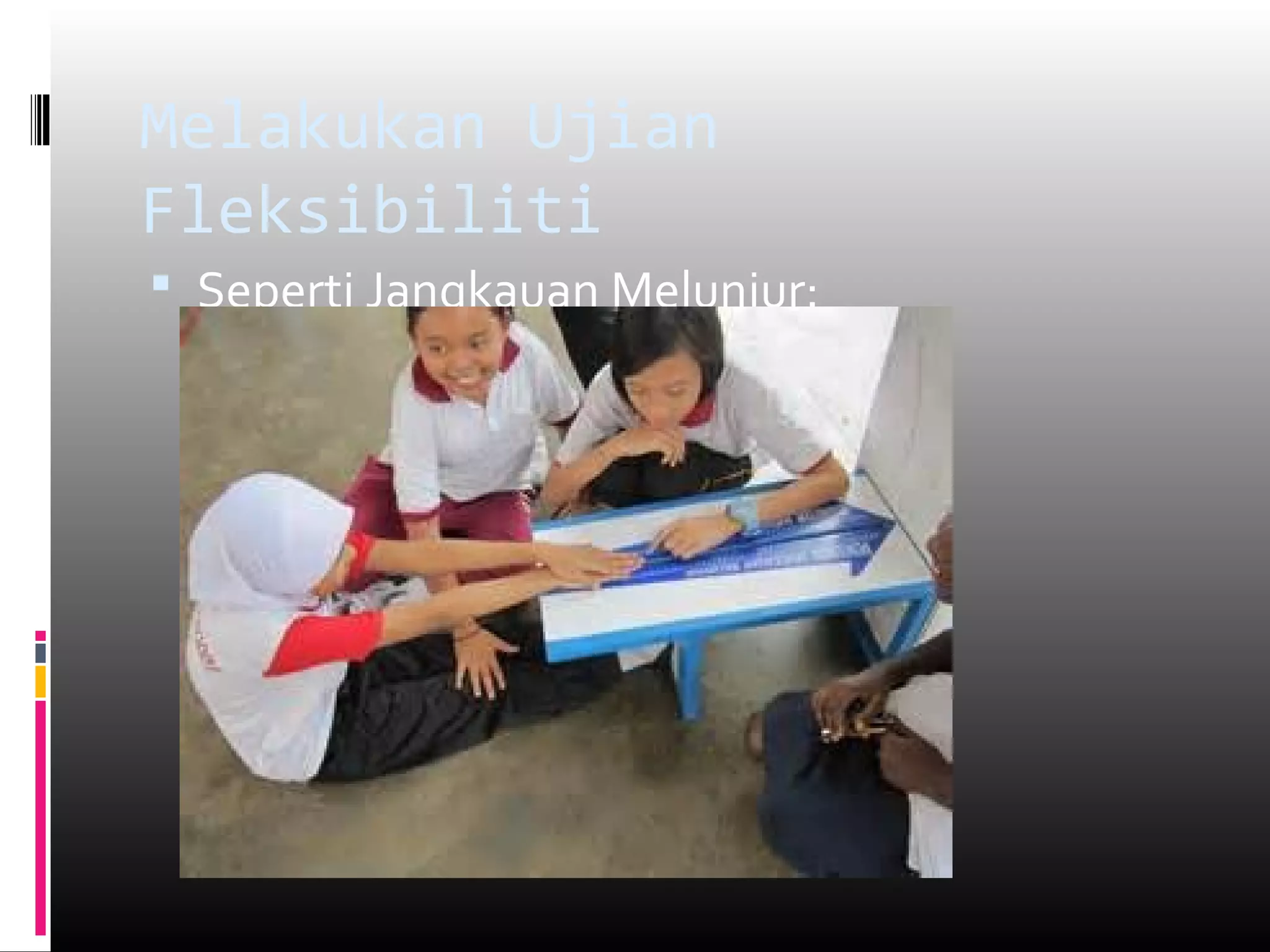 Fleksibiliti - MPP | PPT