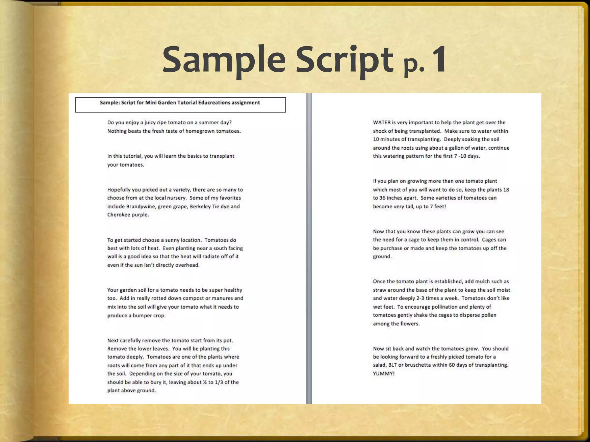 Fleming student prototype presentation | PPTX