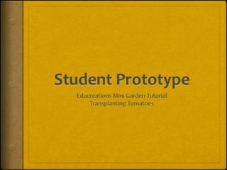 Fleming student prototype presentation | PPTX