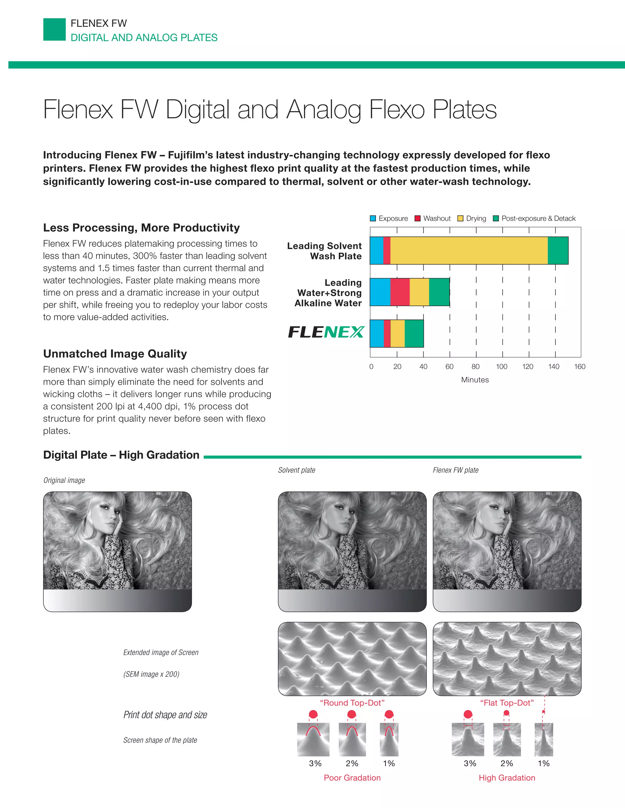 Flenex fw brochure | PDF