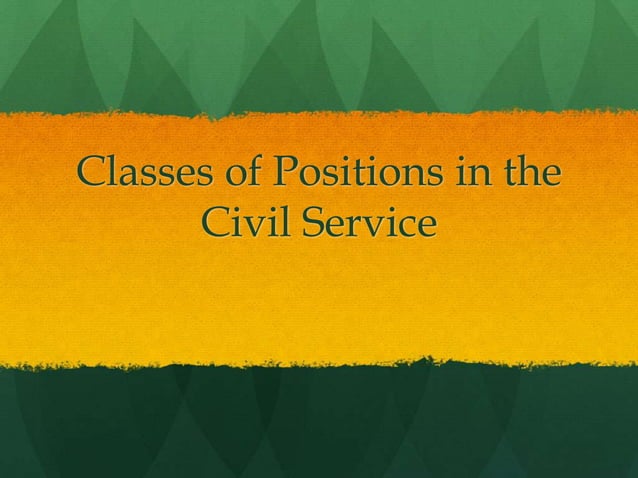 Appointments in the Civil Service | PPTX | Resume Writing and Advice ...