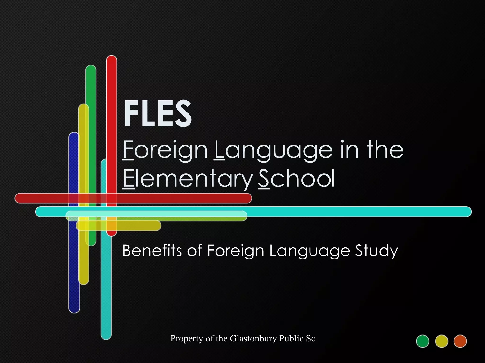 Fles Informational Power Point 2006 | PPT