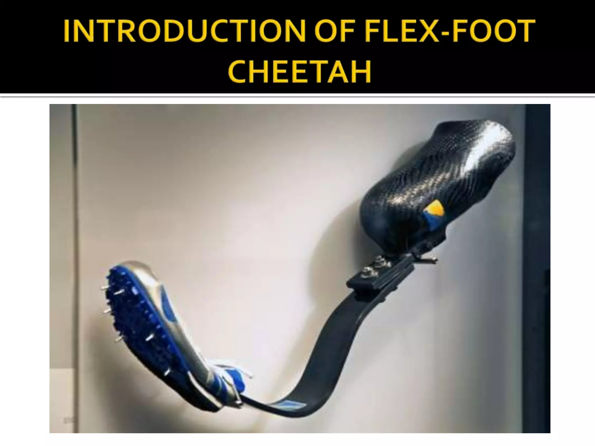 Flex foot cheetah presentation | PPTX | Foot Health | Diseases and ...