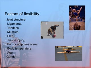 Flexibility | PPT