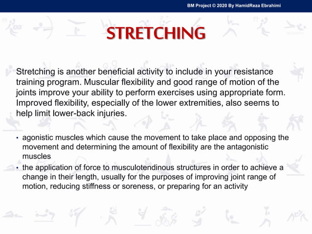 Stretching | PPTX
