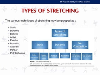 Stretching | PPTX