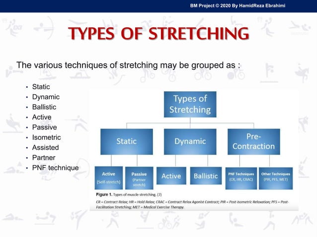Stretching | PPTX