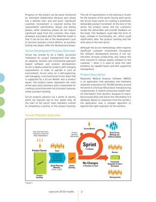 Flexibility in Software Development Methodologies: Needs and Benefits | PDF