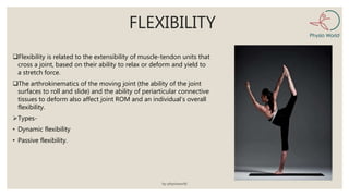 Flexibility exercise/ stretching | PPTX