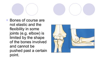 Flexibility PDHPE | PPT