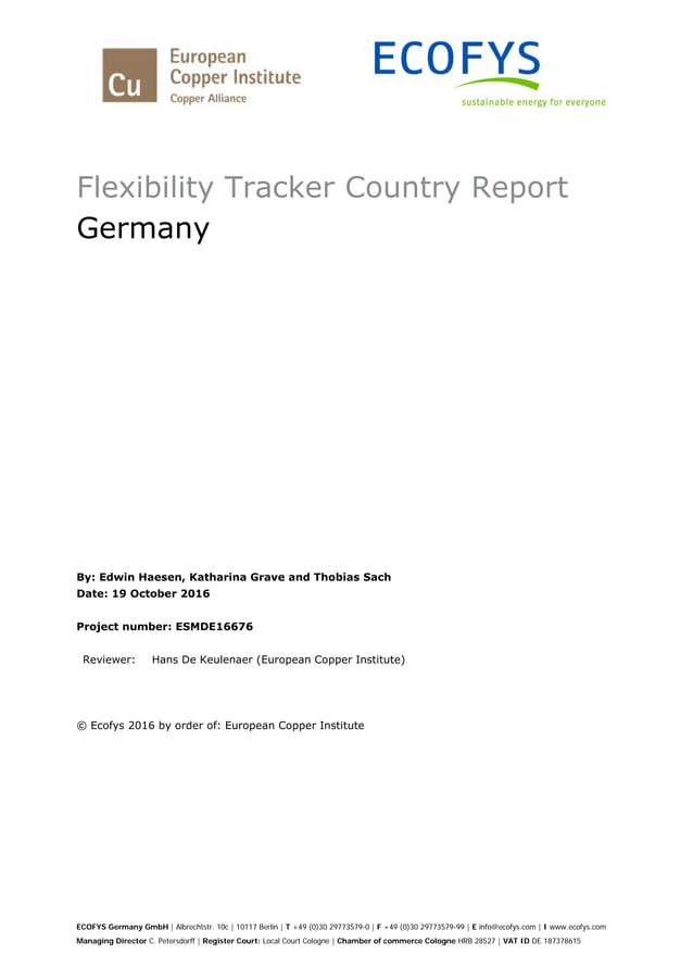 Flexibility Tracker Country Report - Germany | PDF