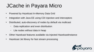 Elastic and Cloud-ready Applications with Payara Micro | PPT