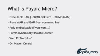 Elastic and Cloud-ready Applications with Payara Micro | PPT