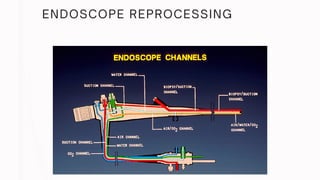Flexible Endoscopes.pdf Risks associated with reprocessing flexible endoscopes | PPT