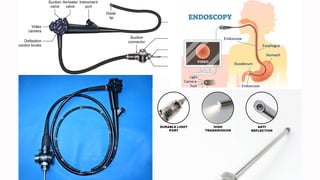 Flexible Endoscopes.pdf Risks associated with reprocessing flexible endoscopes | PPT