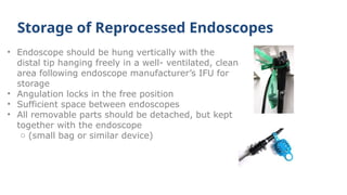 flexible endoscopes reprocessing ppt.pptx