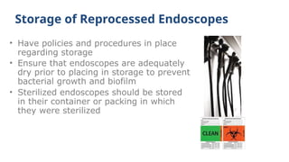 flexible endoscopes reprocessing ppt.pptx