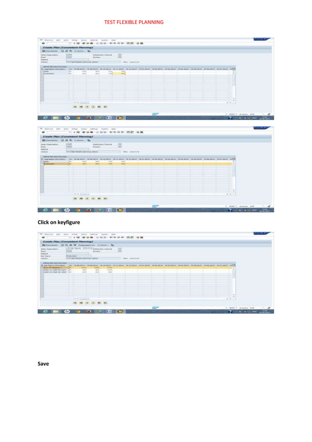 Flexible planning in sap pp | DOC