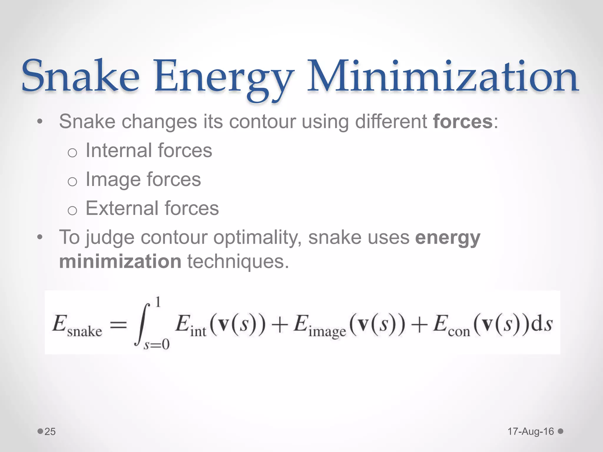 Flexible Shape Matching | PPT