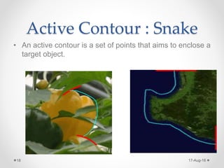 Flexible Shape Matching | PPTX