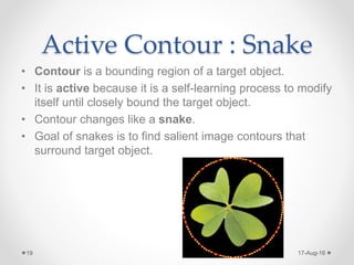 Flexible Shape Matching | PPTX