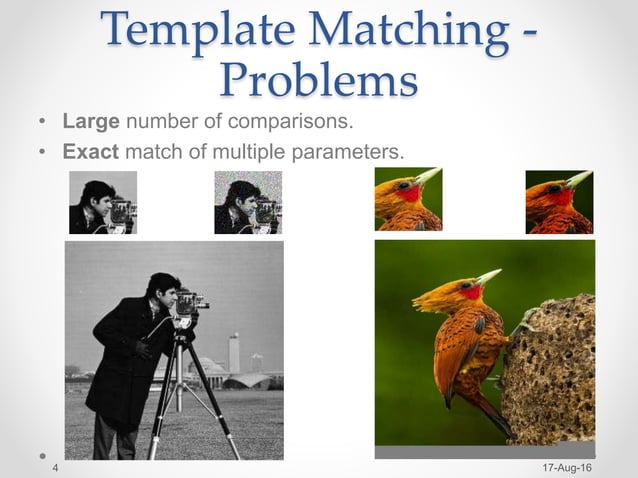 Flexible Shape Matching | PPT