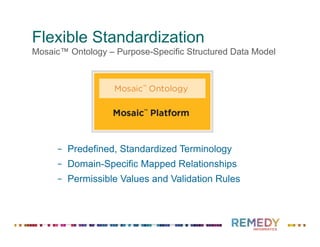 Flexible Standardization Thought Leader Presentation | PDF