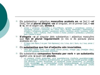 Flexió del nom i l'adjectiu | PPT