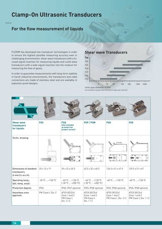 Flexim - Ultrasonic Clamp-on Hazardous Area Flow Meters - Brochure | PDF
