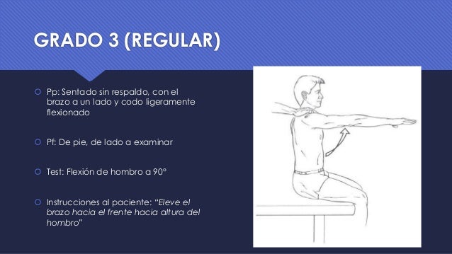Examen Manual Muscular Flexión De Hombro
