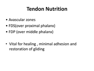 Flexion tendon injuries of hand | PPTX