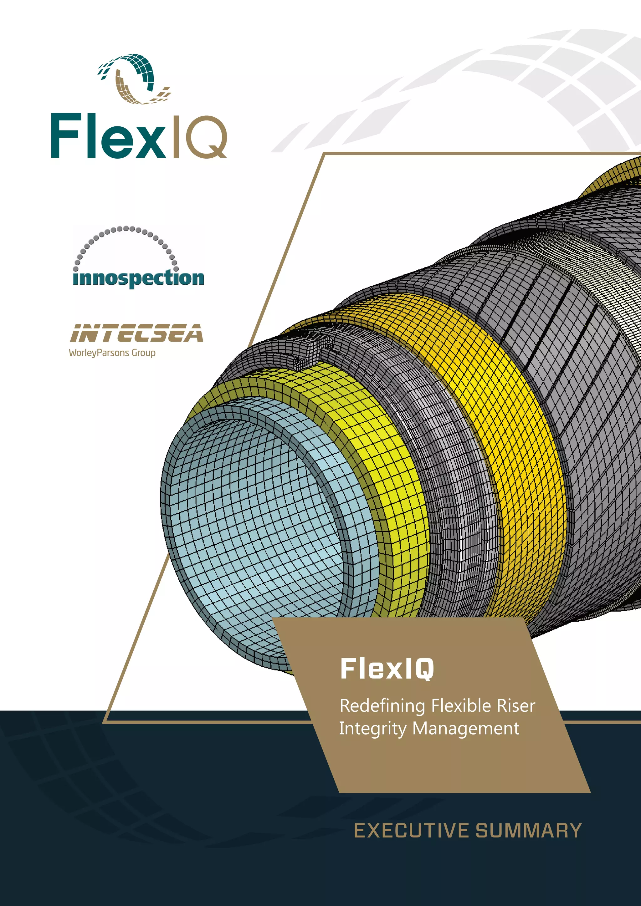 FlexIQ - Executive Summary | PDF