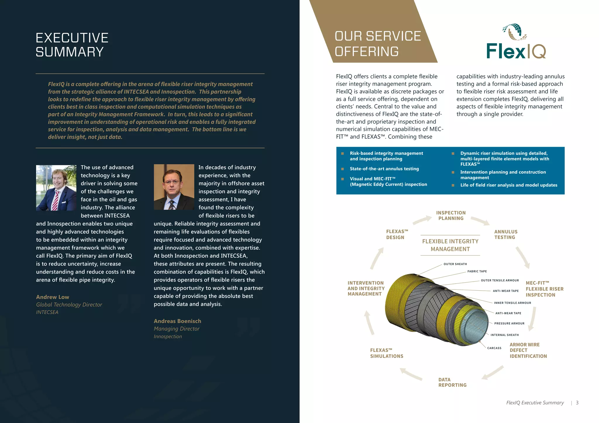 FlexIQ - Executive Summary | PDF