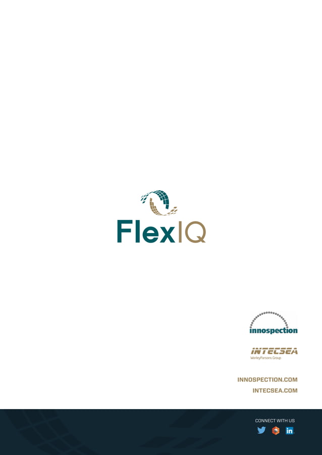 FlexIQ - Executive Summary | PDF