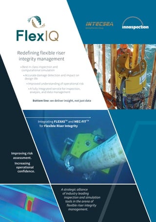 FlexIQ Flyer - INTECSEA and Innospection | PDF