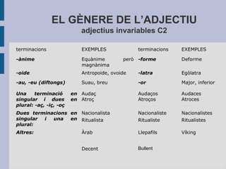 Flexió substantiu i adjectiu: gènere | PDF
