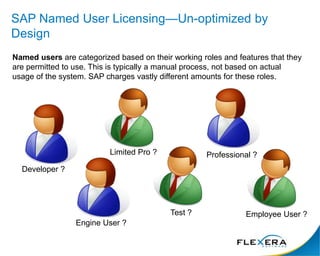Flex net manager for sap applications v9 1 presentation | PPT