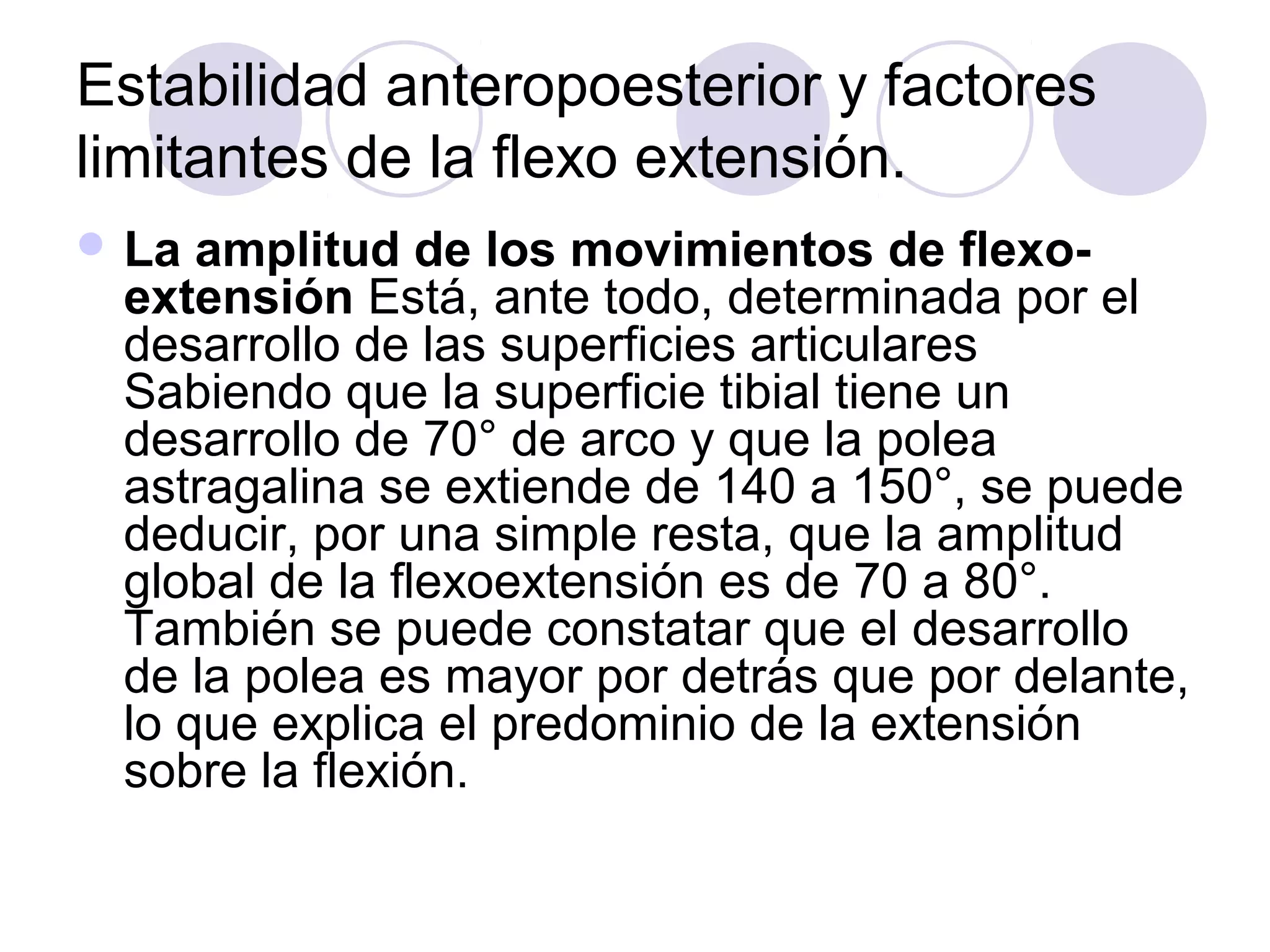 Flexo – extension de tobillo | PPT