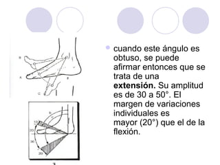 Flexo – extension de tobillo | PPT
