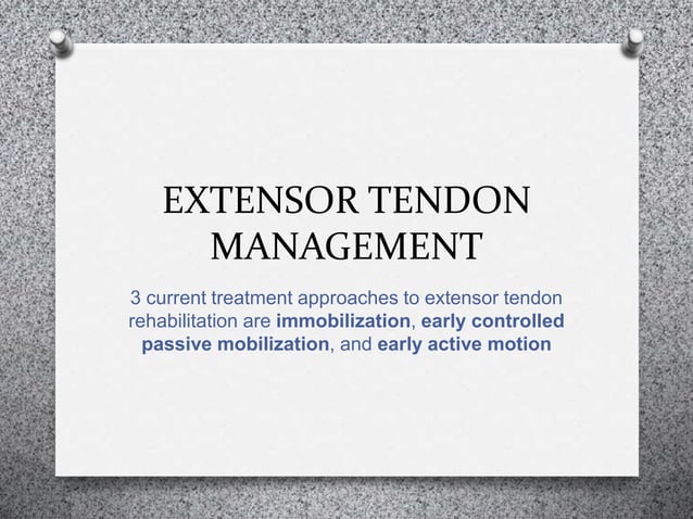 Flexor and Extensor Tendon Laceration vs. Occupational Therapy | PPTX