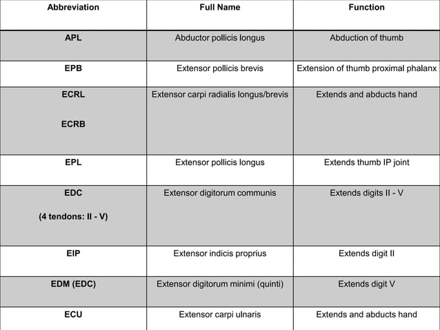 Flexor and Extensor Tendon Laceration vs. Occupational Therapy | PPTX