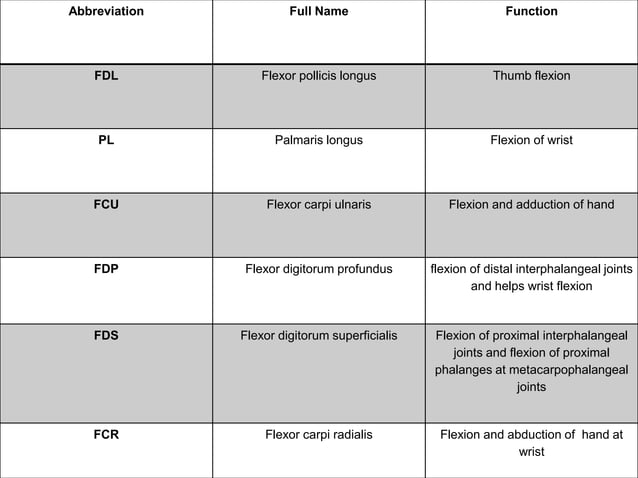 Flexor and Extensor Tendon Laceration vs. Occupational Therapy | PPTX