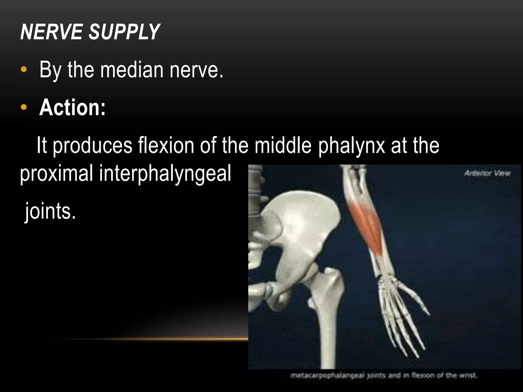 Flexor compartment of forearm | PPTX