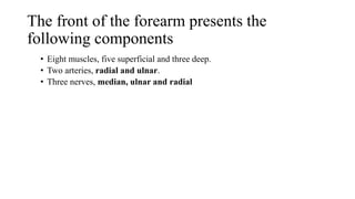 Flexor compartment of forearm and palm.pdf