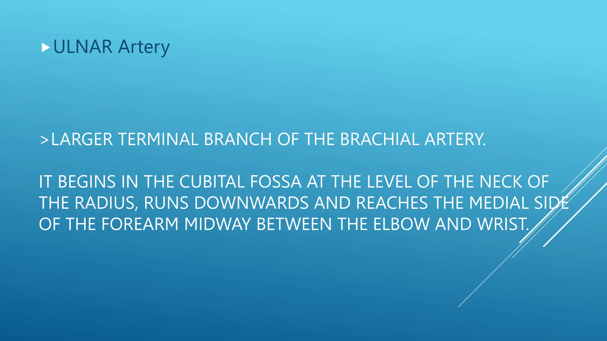 Flexor compartment of the forearm.pptx anatomy gross MBBS | PPTX