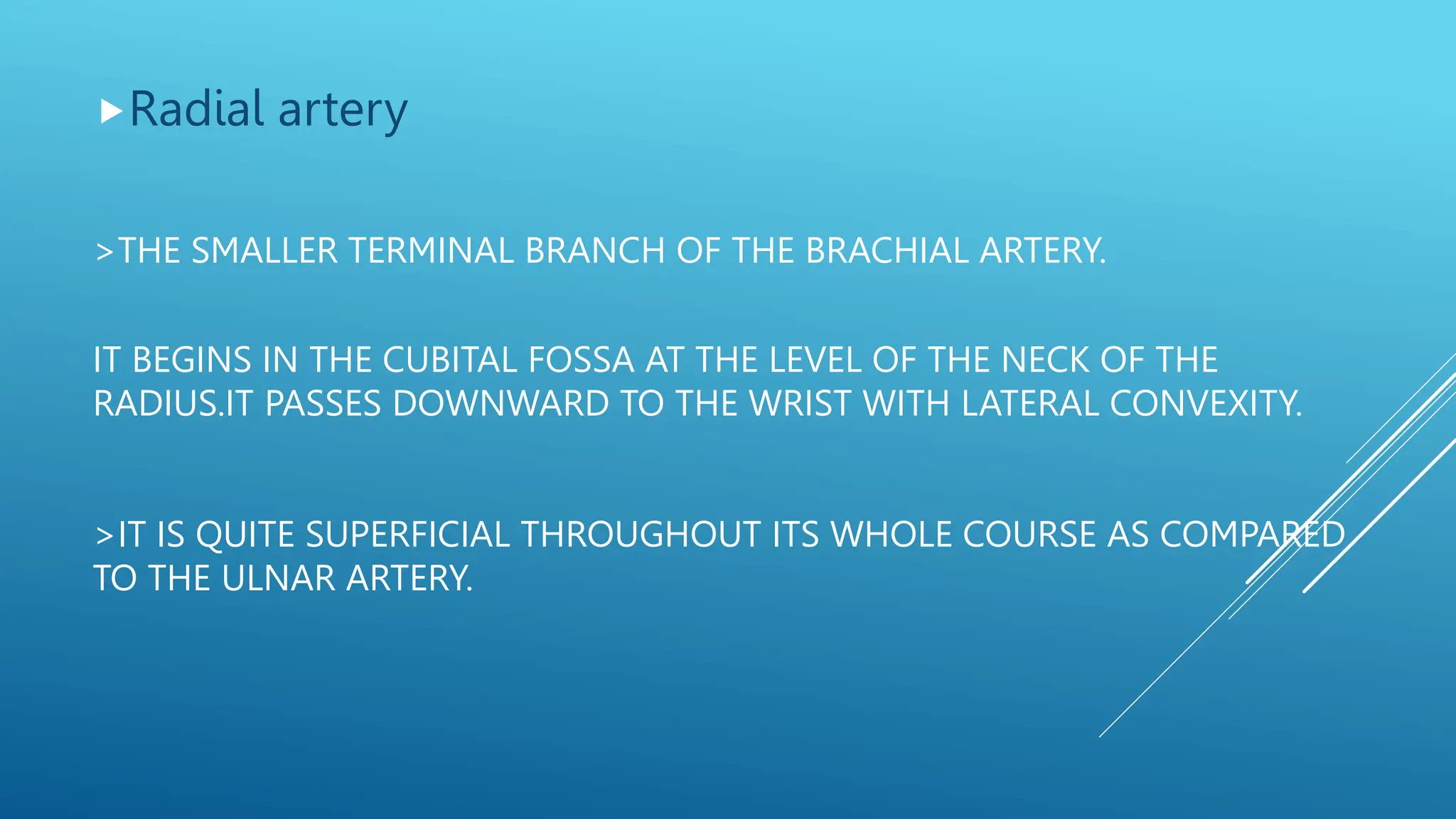 Flexor compartment of the forearm.pptx anatomy gross MBBS | PPTX