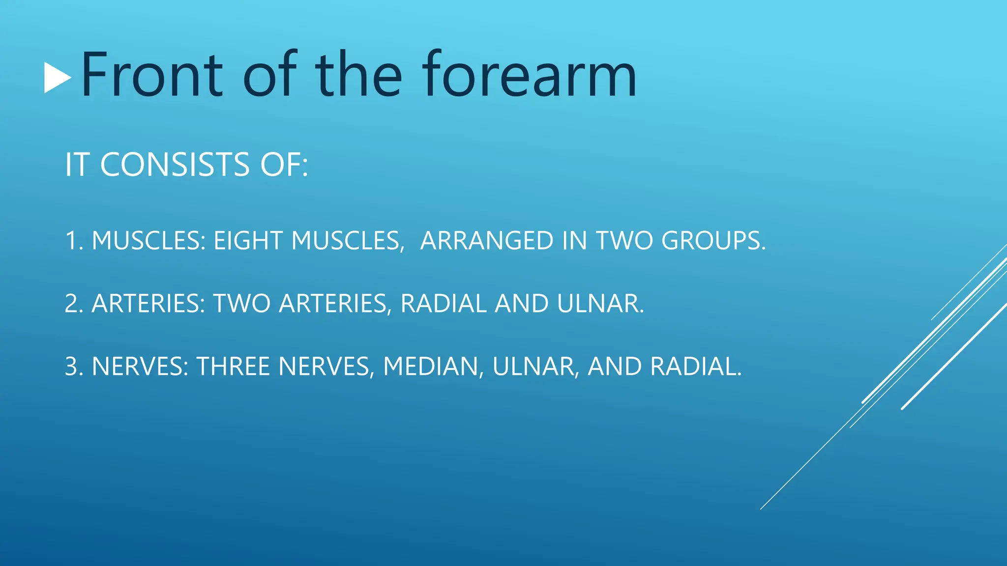 Flexor compartment of the forearm.pptx anatomy gross MBBS | PPTX